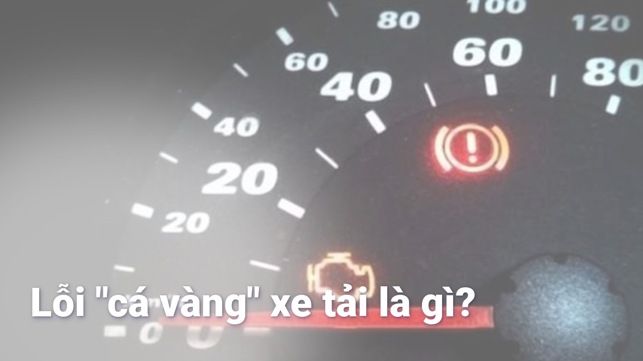Lỗi cá vàng xe tải là gì? Nguyên nhân và cách khắc phục tài xế cần biết ...